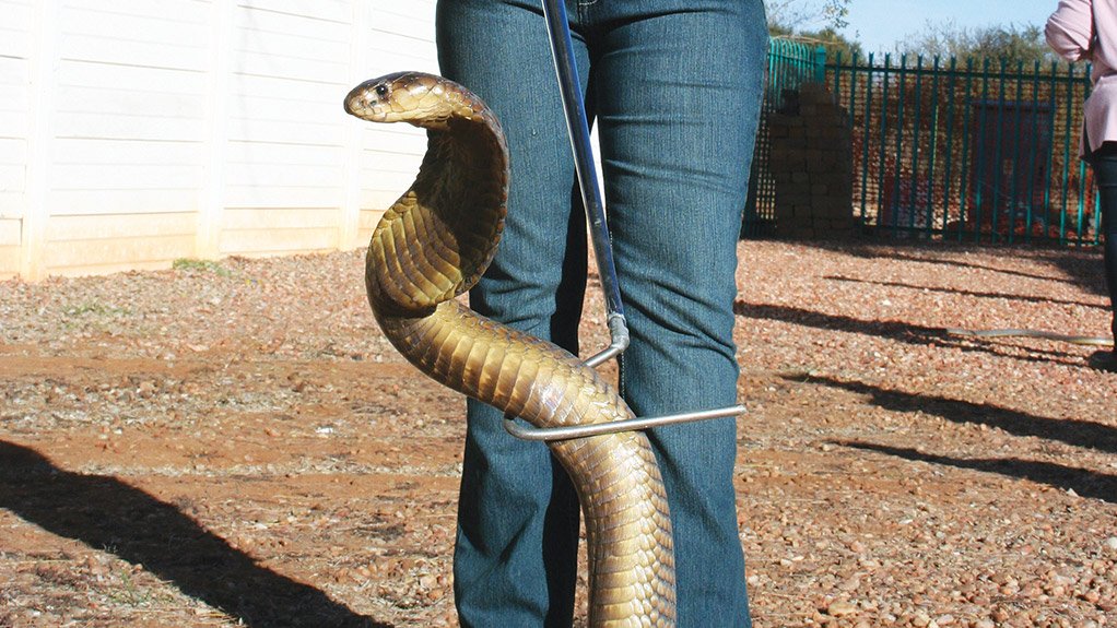 African Reptiles & Venom