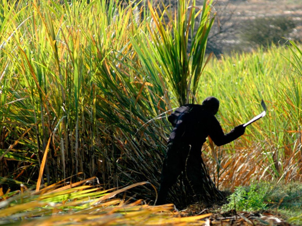 FAWU: Statement by the Food and Allied Workers Union, on the end of the ...