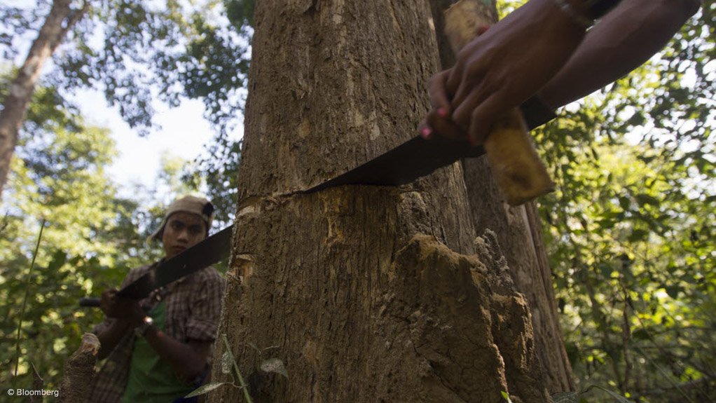DA: Statement by Annette Steyn, Democratic Alliance Shadow Minister of ...