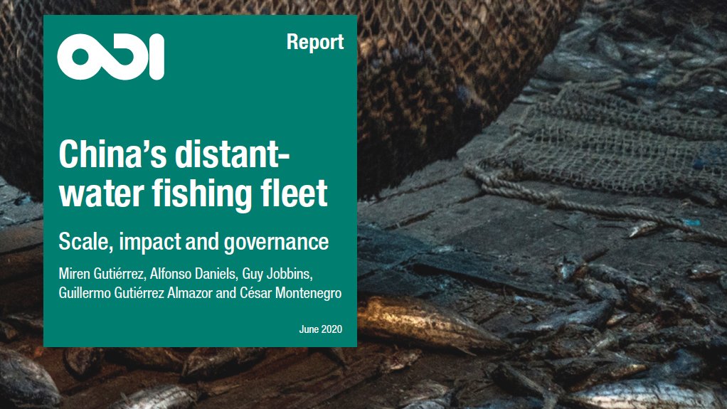 China’s distant-water fishing fleet: scale, impact and governance