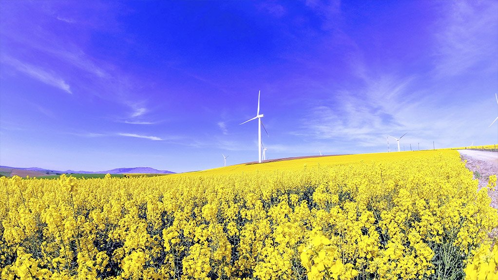 Renewable sector works towards sustainability goals and a just energy ...