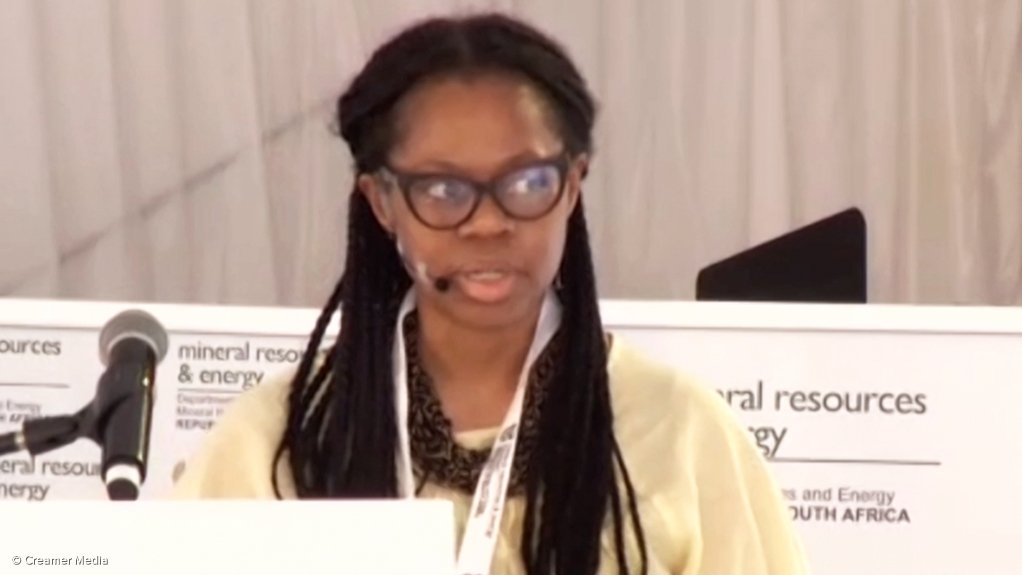 Hydrogen roadmap targeting societal well-being, North West conference told