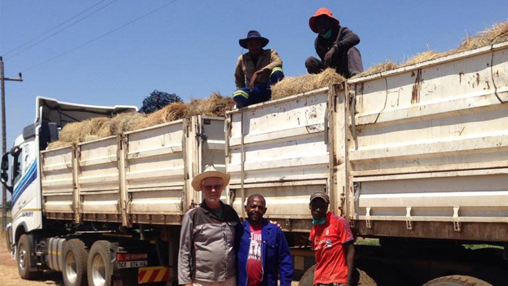 Children of farmworkers must be capacitated to manage farms to prevent ...