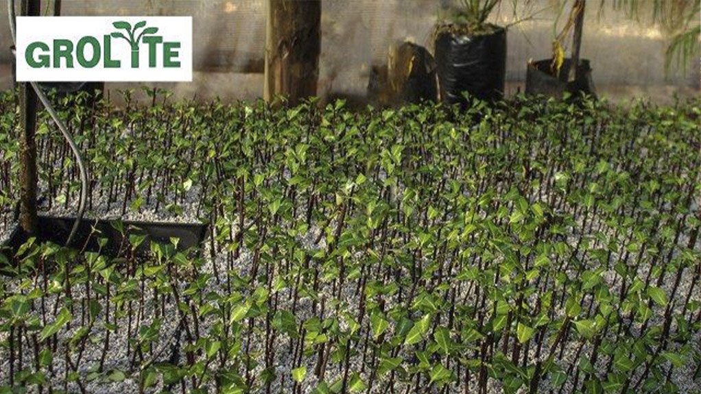 Get into the swing of Spring with Grolite®