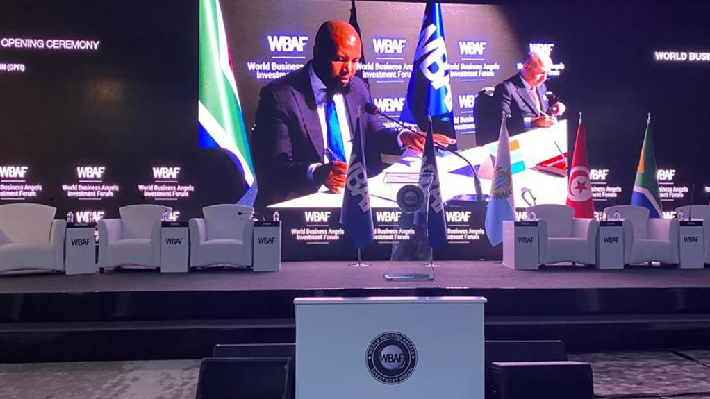 MEC Siboniso Duma Highlights the importance of strategic investment and ...
