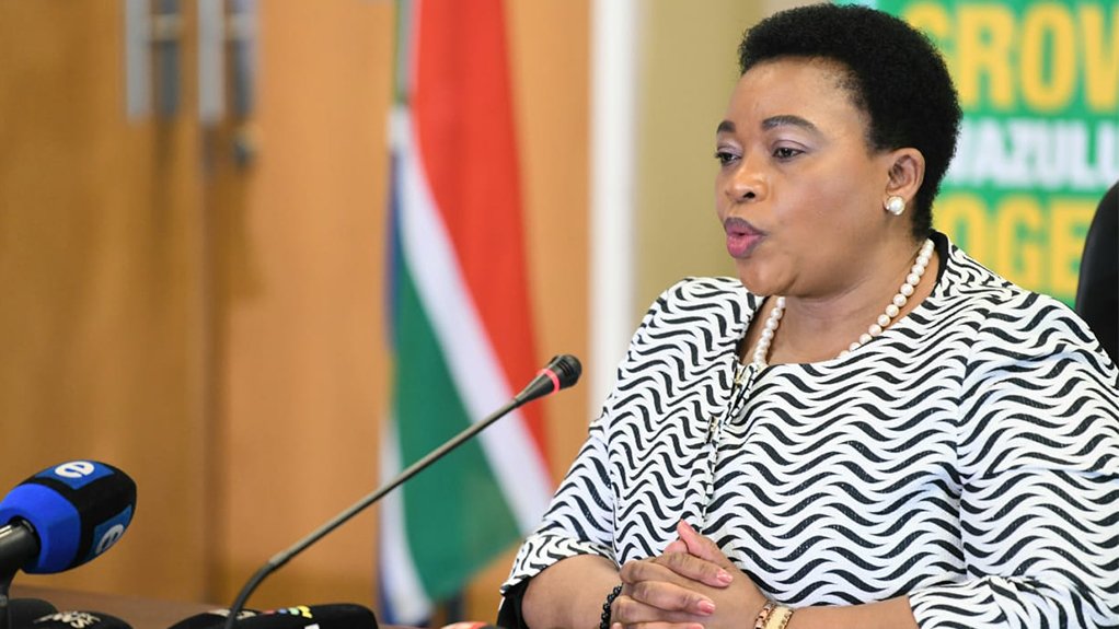 Kzn Cabinet Reshuffle Recycling Of Failed Politicians Shows Ancs Lack