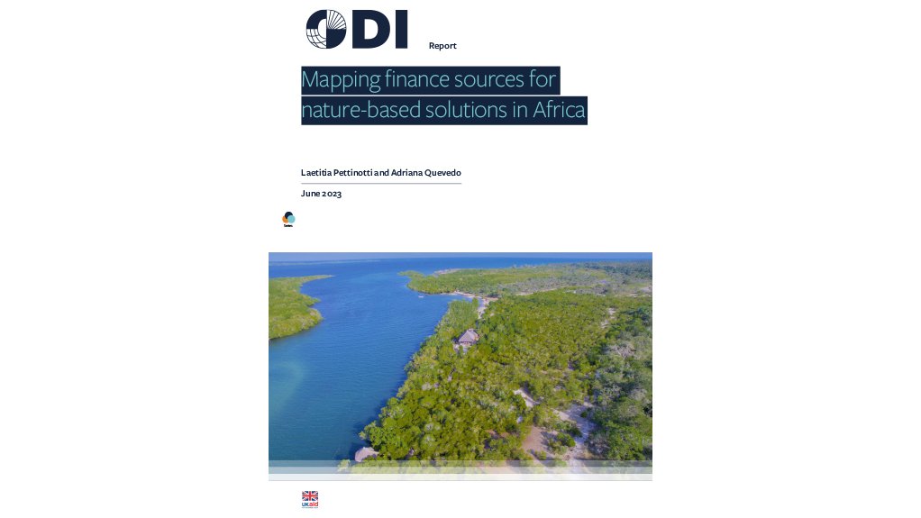 Mapping finance sources for nature-based solutions in Africa