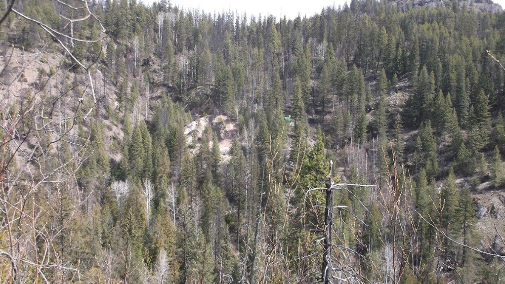 Lithium Corporation expands rare earths land tenure in British Columbia ...