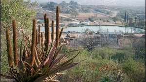 Higher H2 production forecast at Pan African’s Barberton Mines, Royal ...