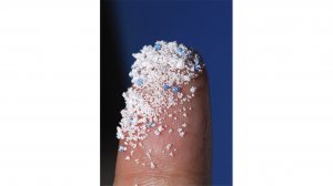 SAPPMA signs operation clean sweep ocs pledge