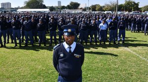 SAPS turnaround plan to tackle DNA analysis failing as backlog explodes ...