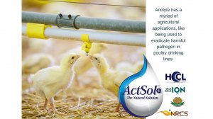 The Anolyte Company (TAC)